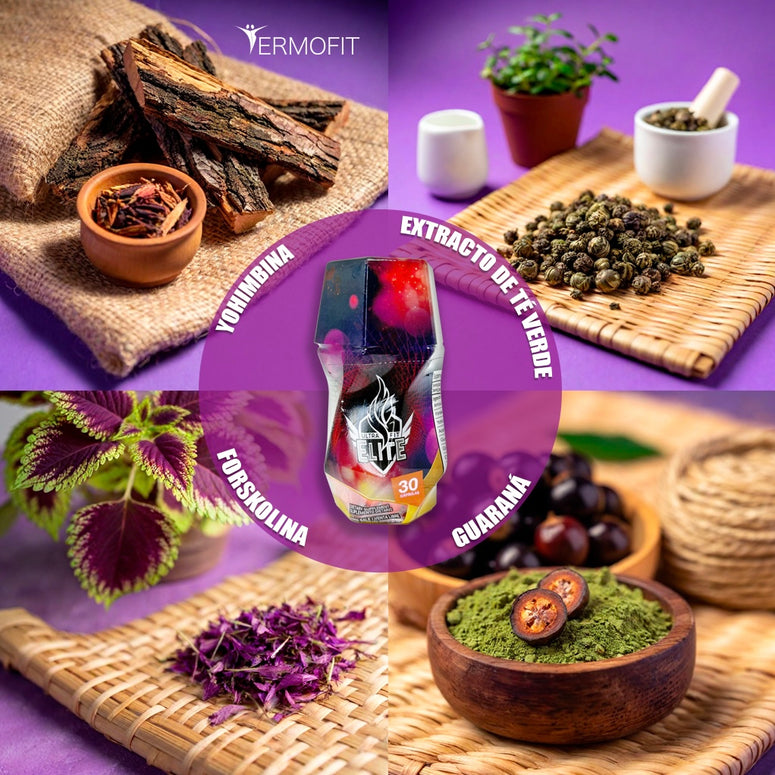 Productos – Termofit