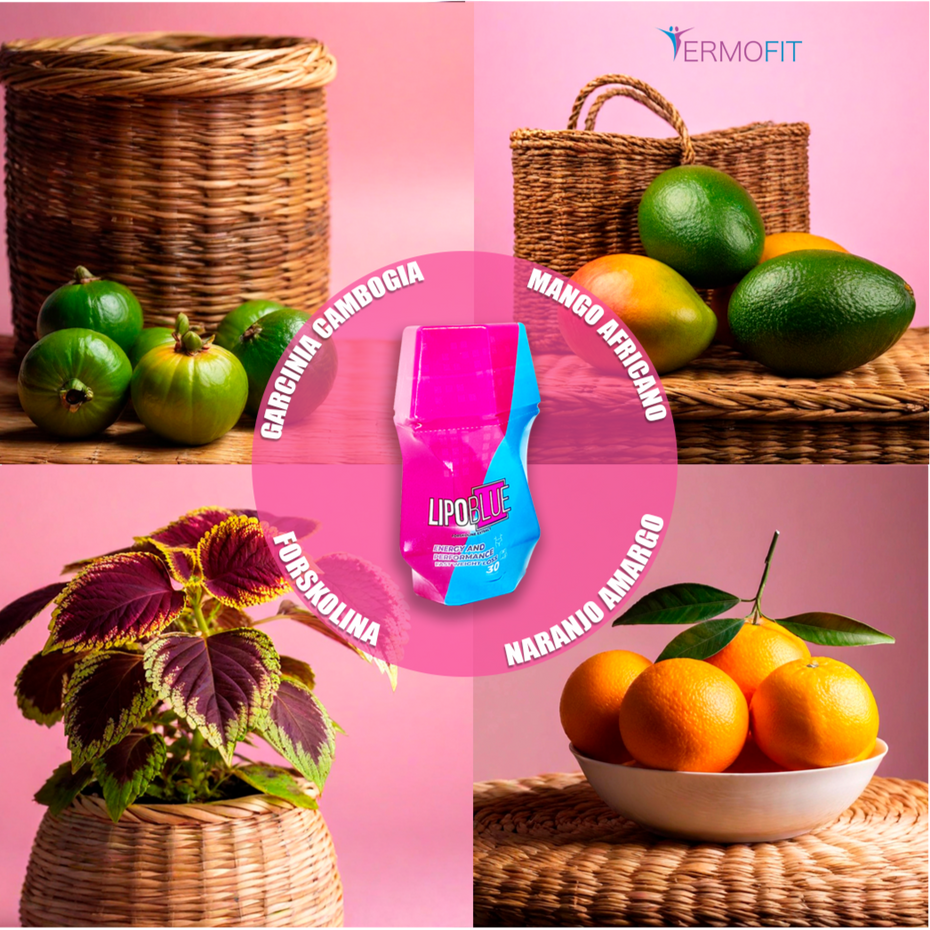 TERMOFIT - Ultrafit, Elite, Supreme, Lipoblue - Quemadores de Grasa ...